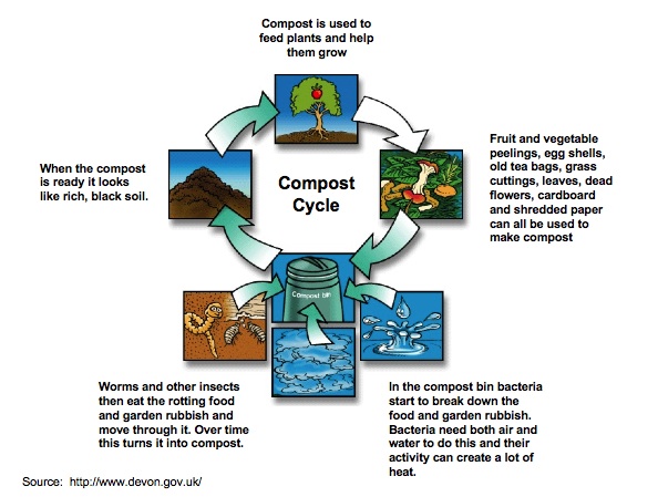 A Brief Guide To Composting For Beginners